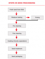 seeds processing – Super Seeds